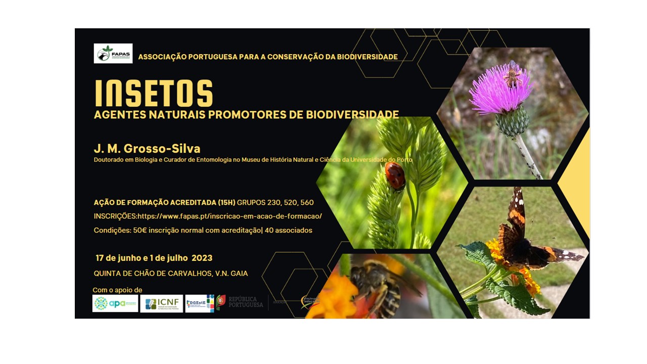 Insetos: Agentes Naturais Promotores de Biodiversidade - FAPAS